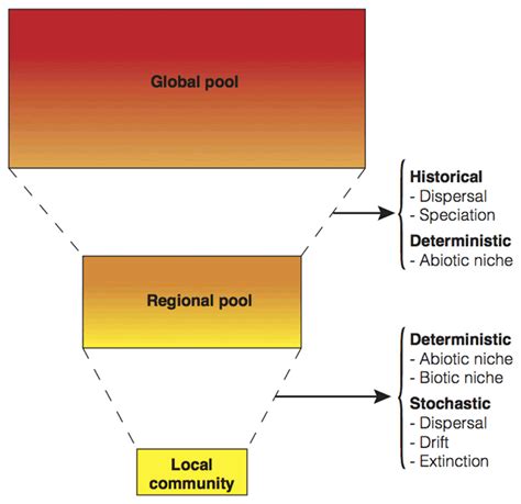 Frontiers The Microbial Contribution To Macroecology
