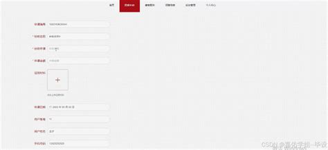 2025毕设springboot 基于的残疾人信息管理系统论文 源码 mysql数据库设计springboot项目 csdn博客