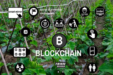 Blockchain 네트워크 개념입니다 별도 거래 기호 기술 쇼핑몰에서 배포입니다 중국에서 녹색 채소 밭의 배경 0명에 대한 스톡 사진 및 기타 이미지 Istock