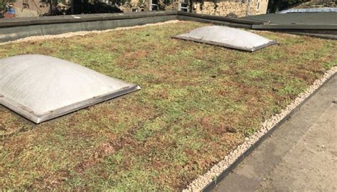 Grass Roof Systems By Grass Concrete Specification Product Update