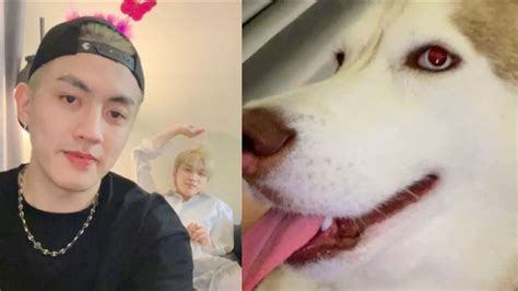 Unus高有翔迎24歲生日！直播驚吐「愛犬fendi走丟」驚險過程曝光 娛樂星聞