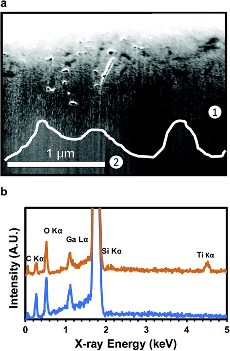 Ultra High Aspect Ratio Functional Nanoporous Silicon Via Nucleated