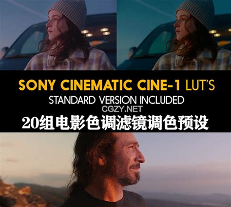 Luts预设20组电影色调滤镜调色预设 Sony Cinematic Cine 1 And Standard Luts Cg资源网