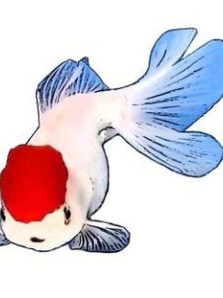 Julien Loisel Julien Aqua Multi Services Viadeo