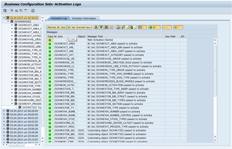 Error While Activating SCWM BASICS SAP Community