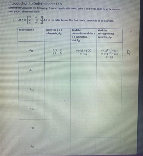 Solved Introduction To Determinants Lab Directions Complete Chegg Com