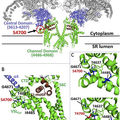 Figure3 A 3 Dimensional 3d Cryogenic Electron Microscopy Cryo Em