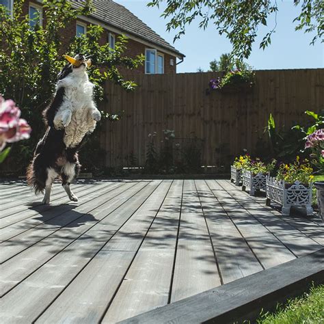Coloured Timber Decking And Cladding Iro Timber