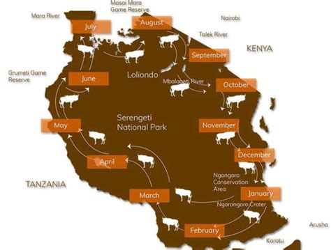Great Migration Route And Maps Kambu Campers