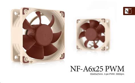 Noctua NF-A6x25 PWM, Premium Quiet Fan, 4-Pin (60mm, Brown) : Amazon ...