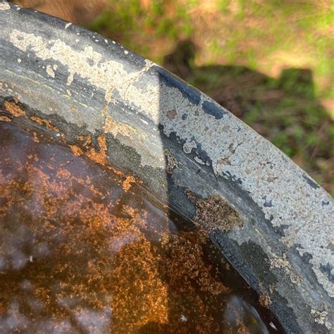 Lot 46 Bird Bath Or Squirrel Bath Sunset Appraisal Service