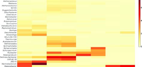 Dendrogram And Color Matrix Of The Abundances Of Microbial Genera