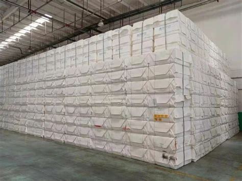 Sugarcane Bagasse Pulp Sheet At ₹ 100kg Sugarcane Bagasse Products In Rajkot Id 26067061697