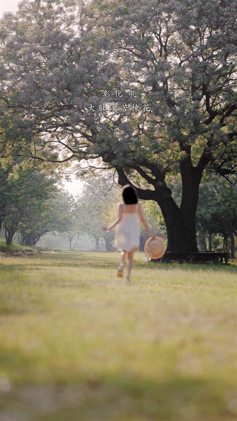 Aa 🌺人像寫真 旅行攝影 美食地圖🌺 Aa 1204 Tw • Instagram Photos And Videos