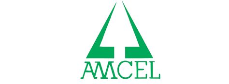 Amcel AmapÁ Florestal E Celulose Sa