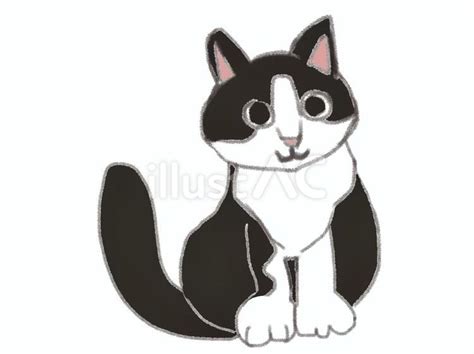ハチワレ猫イラスト No 23766896／無料イラストフリー素材なら「イラストac」