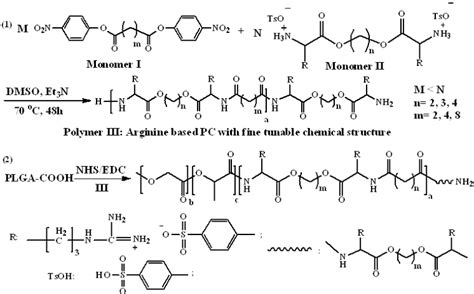 Figure 2 From Development Of Multinuclear Polymeric Nanoparticles As