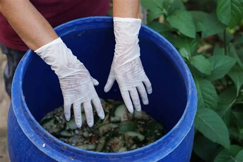 Compost Enzymes The Key To Efficient And Effective Composting