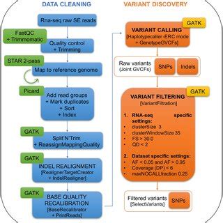 SNP Calling Analysis Pipeline On RNA Seq Data This Workflow Was Download Scientific Diagram