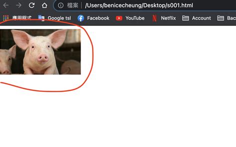 Html教學課程 入門篇 4個章節 由淺入深學習html 鬍子科技學院 Html教學課程 入門篇 4個章節 由淺入深學習html 鬍子科技學院