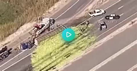 Omg Celery Sticks Album On Imgur