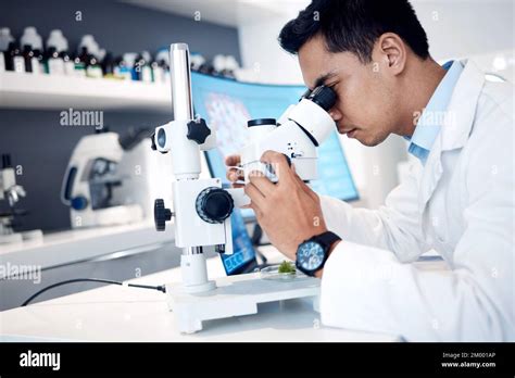 Ap Biology Microscope Lab At Diane Forsythe Blog