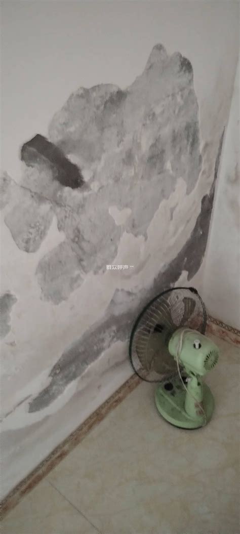 房屋漏水 问政遂宁市 四川群众呼声 四川省网上群众工作平台 遂宁市市长