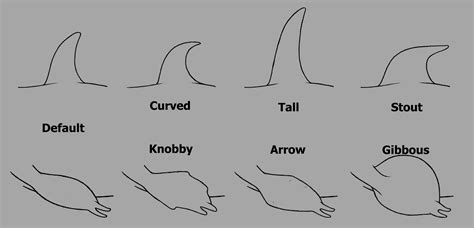 Tool Breeder Morphologies Sorta See Comments Ralltomorrows