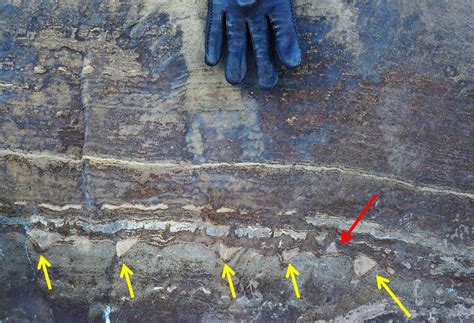 ¿fósiles O Rocas Controversia Sobre Unas Estructuras De Más De 3 700