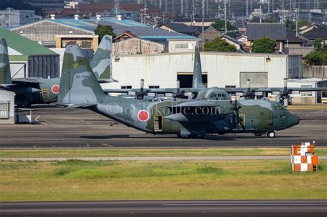 Nagoya Airport Komaki Air Base Spotting
