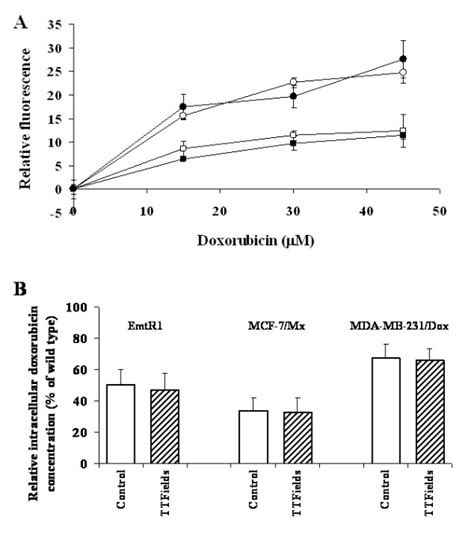 Effect Of TTFields On Doxorubicin Accumulation A Dose Response Curve