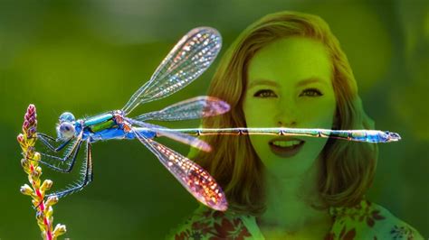Lilith Verstrynge y la libélula de la vaga ilusión