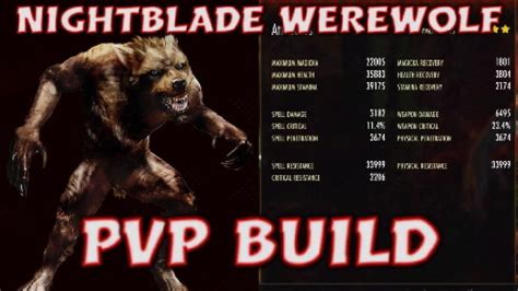 ESO Nightblade Werewolf PvP Build For Blackwood YouTube
