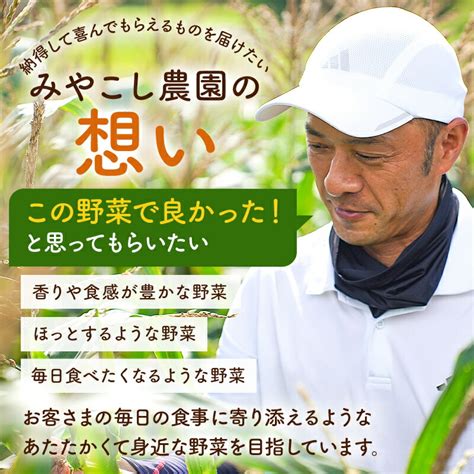 【楽天市場】【ふるさと納税】 【先行受付2025年4月下旬よりお届け】（訳あり）そら豆3kg 千葉県 南房総市 野菜 旬 新鮮 香り 甘み