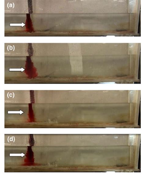 evolution of tracer mixing after 4s of tracer injection a case i