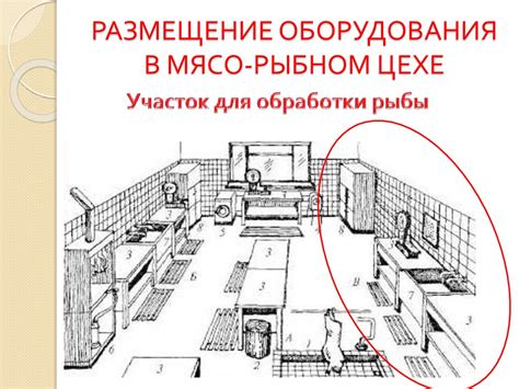 Обработка чешуйчатой рыбы и приготовление полуфабрикатов из неё