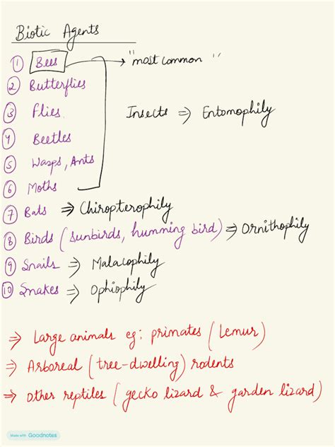 Pollination Contd Fertilisation And Post Fertilisation Pdf Fertilisation Plant Reproduction