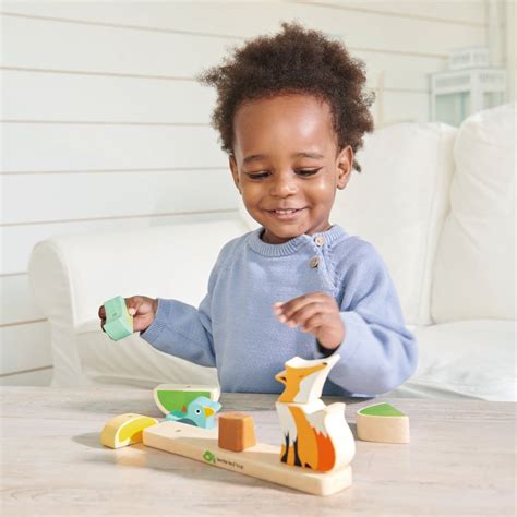 Tender Leaf Toys® Magnetic Foxy Stacker Puzzle Jadrem Toys