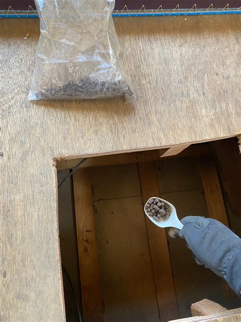 京都市右京区 ハクビシン駆除戸建て 京都の害虫駆除・ゴキブリ駆除・ネズミ駆除・クモ対策駆除 京都の害虫駆除com