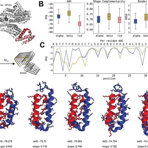 Structural In Silico Analysis Of Aβ 1 42 Interaction With The Cterm A