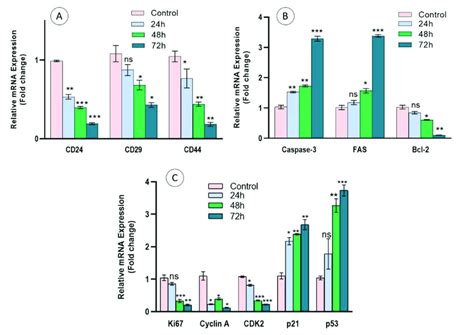 A Expression Of The Cell Surface Markers Cd24 Cd29 And Cd44 Was