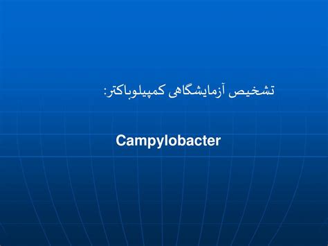 Ppt تشخیص آزمایشگاهی کمپیلوباکتر Powerpoint Presentation Id5673099