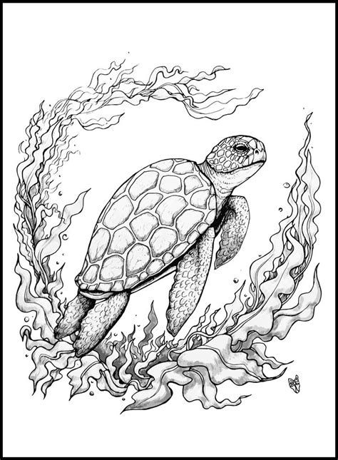Mesmerizing Sea Turtle Drawing Free Download Turtle Coloring Pages