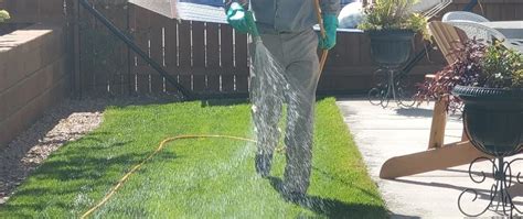 Why You Should Use Both Pre Emergent And Post Emergent Weed Control For