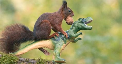 Jurassic Park Tribute With Squirrel Photographer