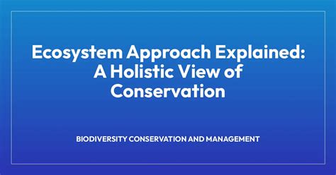 Ecosystem Approach Explained A Holistic View Of Conservation