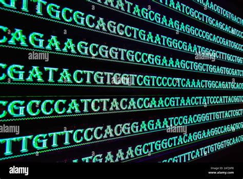 Abstract Background Genetic Code Sequence Of Nucleotide Bases In A DNA Fragment Stock Photo