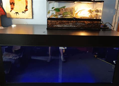 Django Has An Upgrade Rballpython