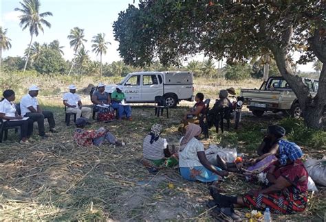 🐟🪼o Projecto Mamap Visita 6 Associações De Piscicultores Na Província De Inhambane 🐠🐡 Gmap