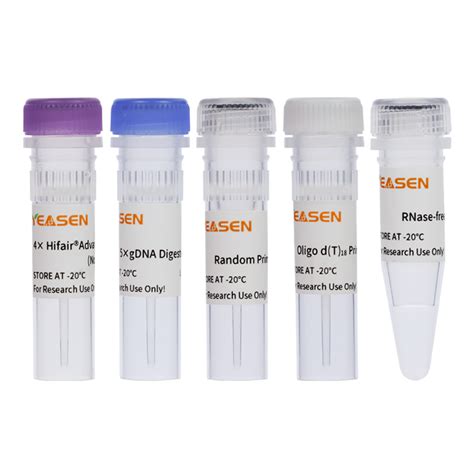 Dna St Strand Cdna Synthesis Kit